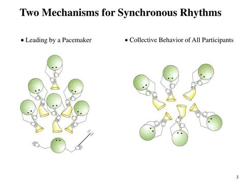 Ppt Dynamical Routes To Clusters And Scaling In Globally Coupled