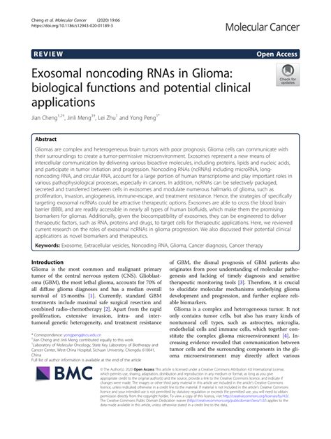 Pdf Exosomal Noncoding Rnas In Glioma Biological Functions And Potential Clinical Applications