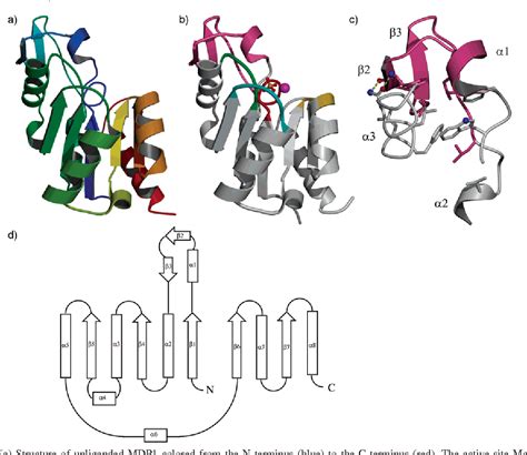 Figure 2 From X Ray Crystal Structure Of The Hypothetical Phosphotyrosine Phosphatase Mdp 1 Of