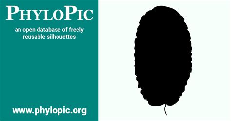 Dinophyceae Phylopic