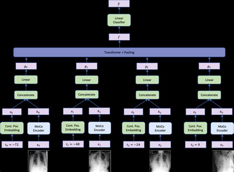 Schematic Of The Multiple Image Prediction Mip Model The Mip Model Download Scientific