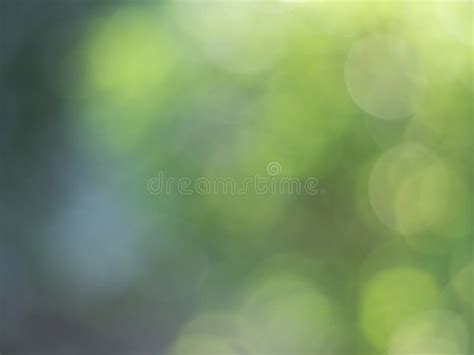 Natural Outdoors Bokeh Background In Green And Yellow Tones Blurred Green Tree Leaf Background
