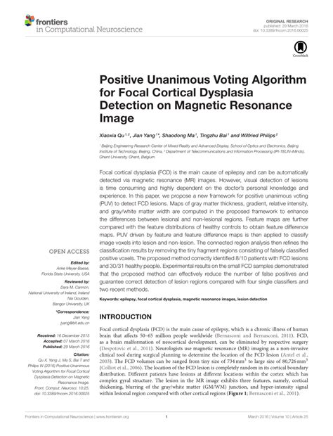 Pdf Positive Unanimous Voting Algorithm For Focal Cortical Dysplasia