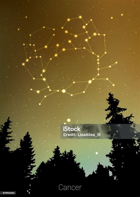 Canser 조디악 별자리 갤럭시와 뒤에 공간 아름 다운 밤하늘에 숲 풍경 실루엣으로 서명합니다 깊은 우주 배경에 Canser 별자리 기호 별자리입니다 카드 디자인 0명에