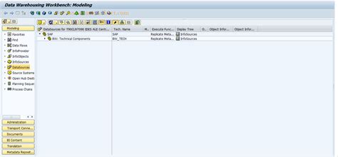 RSA SAP Tcode DW Workbench DataSource Tree