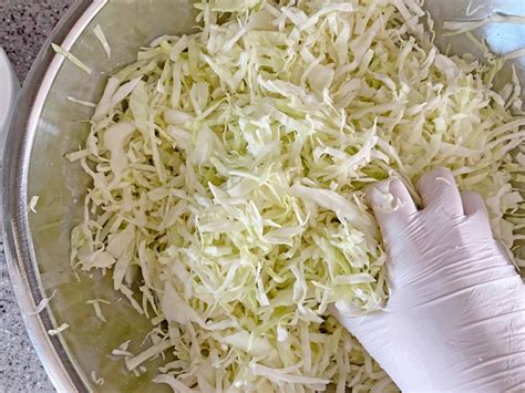 양배추요리 독일식 김치 사우어크라우트 만들기