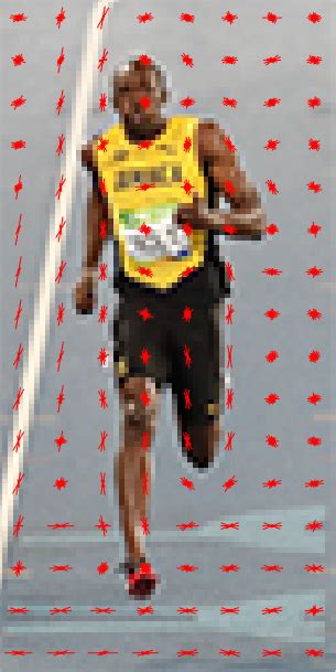 Pengertian Histogram Of Oriented Gradients Hog Dan Cara Hitungnya