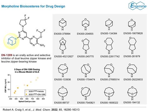 Enamine Ltd On Linkedin Chemistry Synthesis Drug Medicinalchemistry