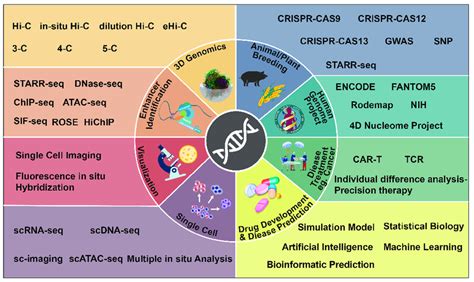 List Of Technologies That Promote The Development Of Precision Biology
