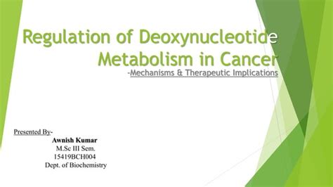 Regulation Of Deoxynucleotide Metabolism Pptx Endocrine And