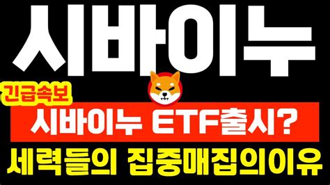시바이누 Shib 시바이누 Etf출시 세력들의 집중매집의 이유 2차 폭등 임박했다 Youtube