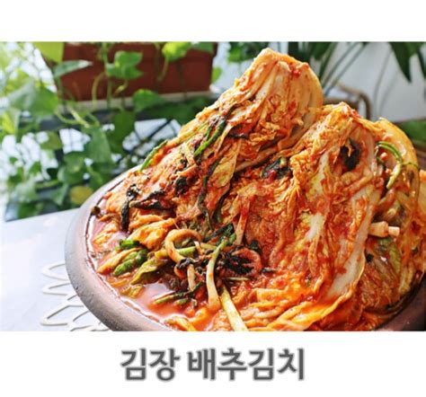 김장김치 담그는법 김장 배추김치 배추10포기 양념 만드는법 네이버 블로그