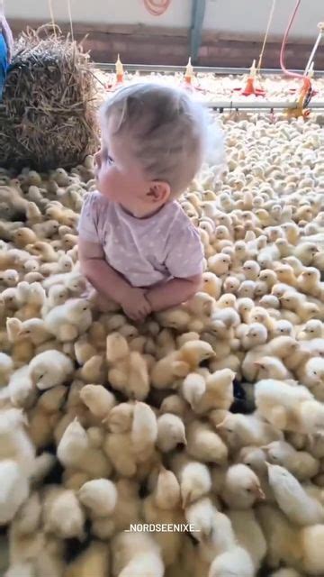 ‎🌿🌸زانیاریکچانە 🌿🌸‎ On Instagram‎ تخوا کە جوانە😂 ️ هێلی‎ Funny