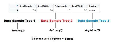Reflections Of A Data Scientist R Machine Learning The Random Forest Model Pt III
