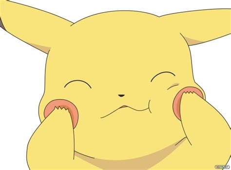 De Pikachu A Gorochu El Pokémon Que Nació Dulce Y Tuvo Etapa Ardilla