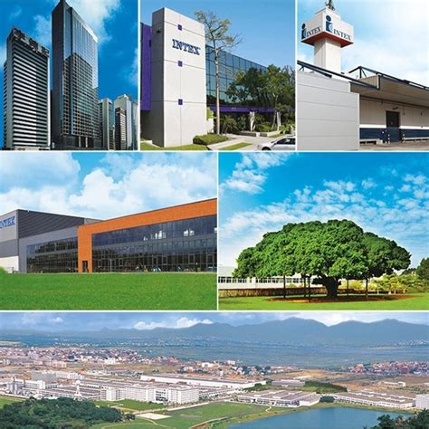 Оптовый дилер Intex Uzbekistan