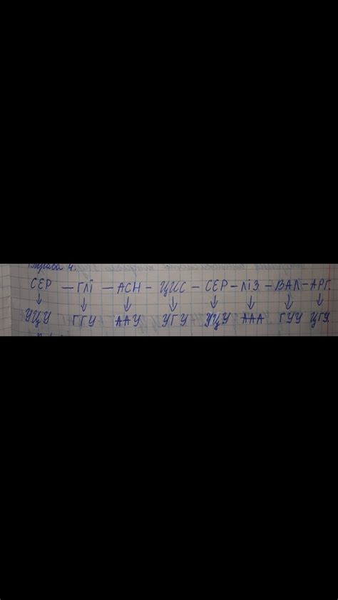 якою послідовністю нуклеотидів молекули мРНК кодується ділянка молекули білка якщо він має таку