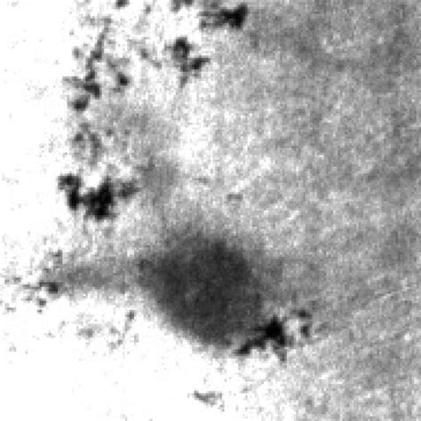 Defect Object Detection Dataset By Road Inspection