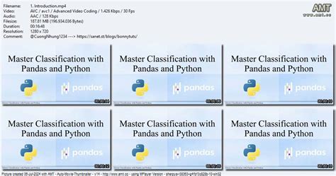Master Classification With Pandas And Python 2024 Softarchive