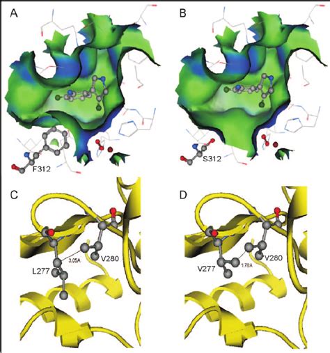A And B Molecular Surfaces In The Substrate Binding Pockets Of Download Scientific Diagram