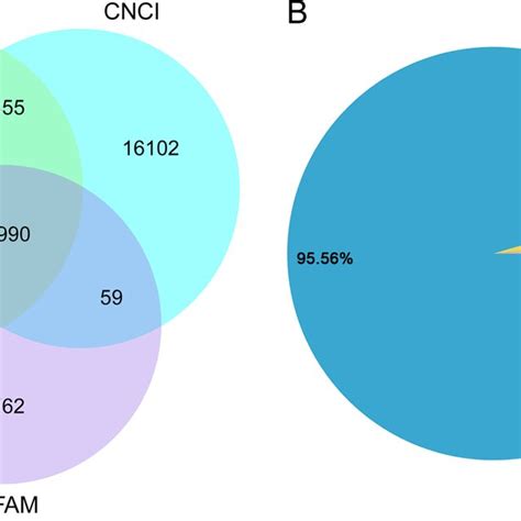 Coding Potential Prediction And Classification Of Detected Lncrnas Download Scientific Diagram