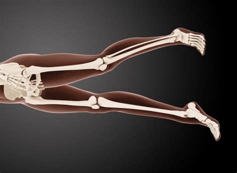Scanogram X Ray Mdscans