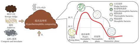 超高温好氧发酵技术堆肥快速腐熟与污染控制机制