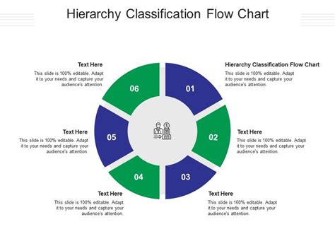 Hierarchy Classification Flow Chart Ppt Powerpoint Presentation Inspiration Summary Cpb