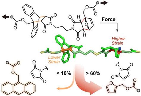 竞争性激活实验揭示了呋喃 马来酰亚胺和蒽 马来酰亚胺机械载体的显着不同的机械化学反应性acs Polymers Au X Mol