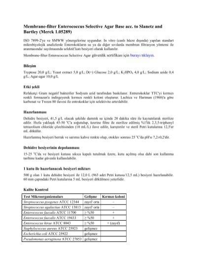 Membrane Filter Enterococcus Selective Agar Membrane Filter Enterococcus Selective Agar