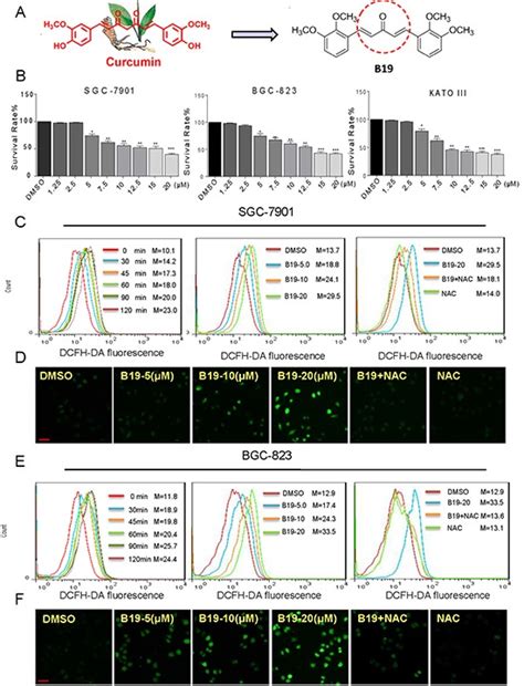 Selective Killing Of Gastric Cancer Cells By A Small Molecule Via