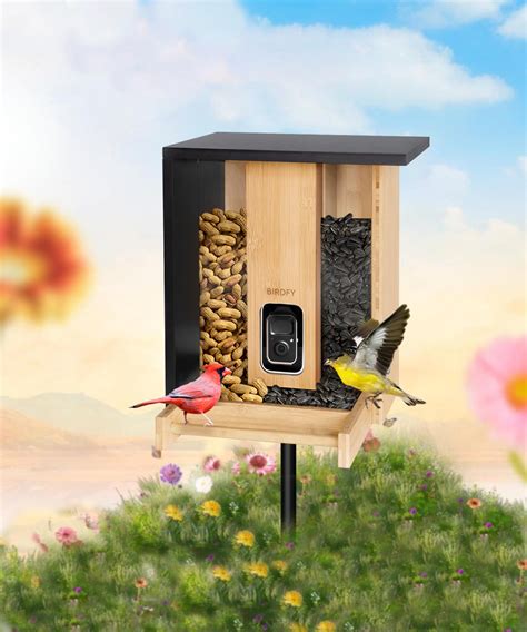 Birdfy Cam Motion Detection Bird Camera