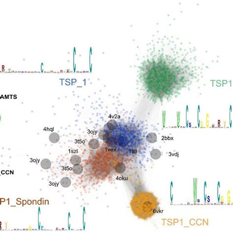 Structure Of Ccn3 Tsp1 Domain A Anomalous Difference Density Of Pt Download Scientific