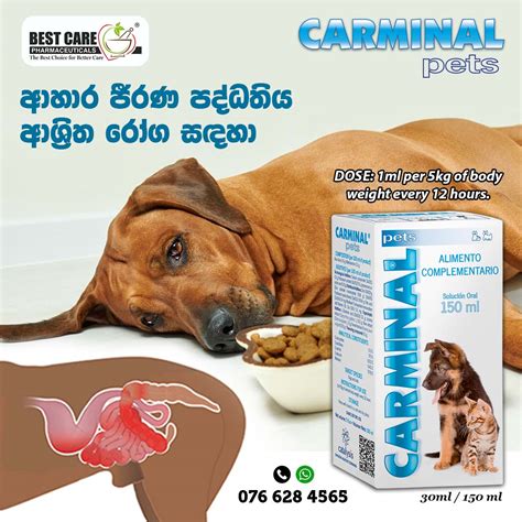 Best ආහාර ජීරණ පද්ධතිය ආශ‍්‍රිත රෝග සඳහා වමනය සහ පාචනය නවතාලයි අන්ත‍්‍ර තුල වායුව ඉවත්කරමින්