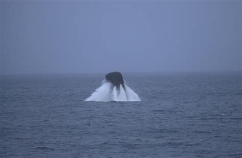 696 Best Ula Images On Pholder Ula Space X Masterrace And Space