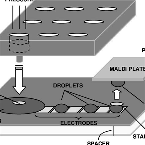 Ertical Cross Section Of The Electrowetting Chip Showing The Material Download Scientific