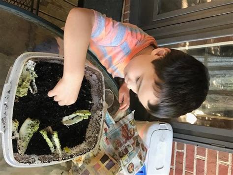 Red Composting Worm Mix Uncle Jim S Worm Farm