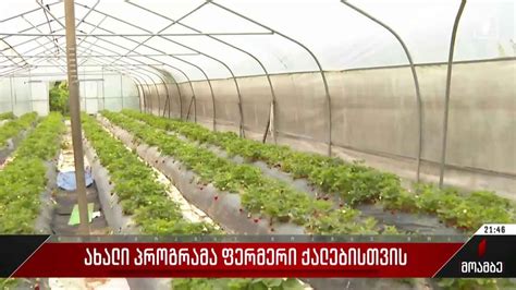 ახალი პროგრამა ფერმერი ქალებისთვის Youtube