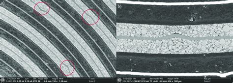 Cross Section Sem Battery Images A Larger Field Of View Three Download Scientific Diagram