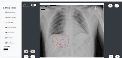 Do Full Stack Web Development Using Laravel Python Wordpress By Techguy07 Fiverr