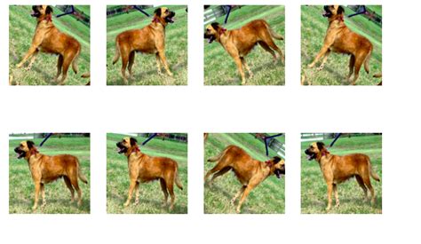 Transfer Learning Guide A Practical Tutorial With Examples For Images And Text In Keras