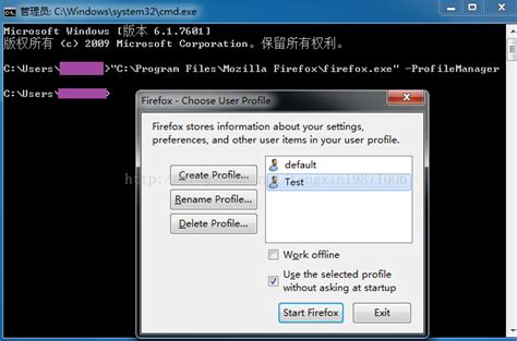 Selenium Webdriver中如何处理多个authentication Required对话框问题selenium