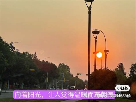 加拿大卡尔加里公立初中课表什么样 知乎
