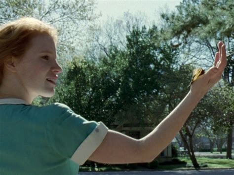 The Tree Of Life Review Criterion Forum