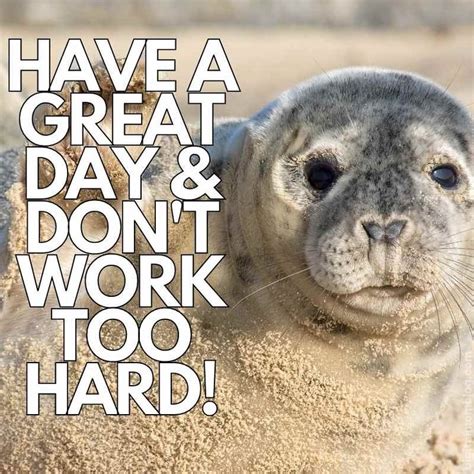 25 Have A Great Day Memes For Sharing Happy Good Day Meme Good