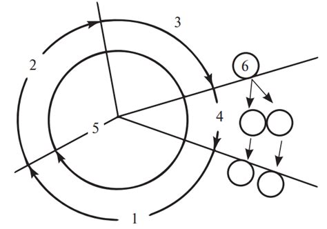 Задание №8539 Установите соответствие между особенностями и этапами жизненного цикла клетки
