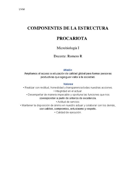 Componentes De Estructura Cel Procariota Componentes De La Estructura Procariota