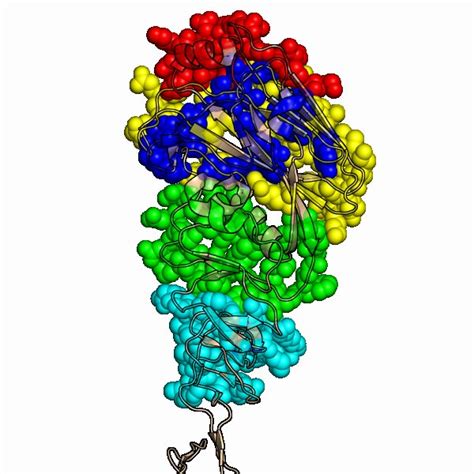 Visualization Of Epitope Sites A E For H1n1 Using Reference Structure