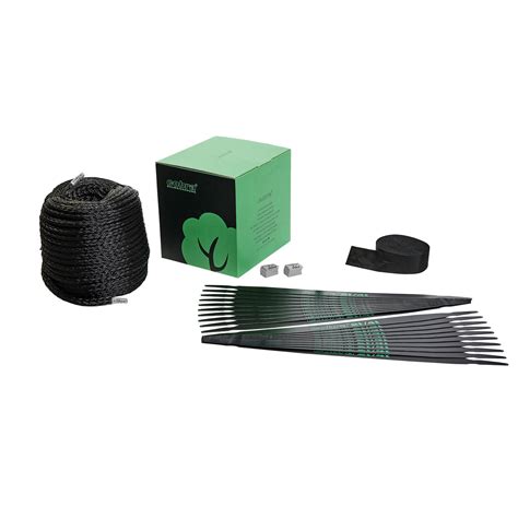 Cobra Tree Bracing Tree Care