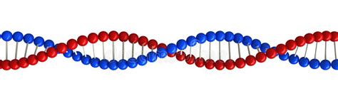 Dna Structure Stock Illustration Illustration Of Atom 32273103
